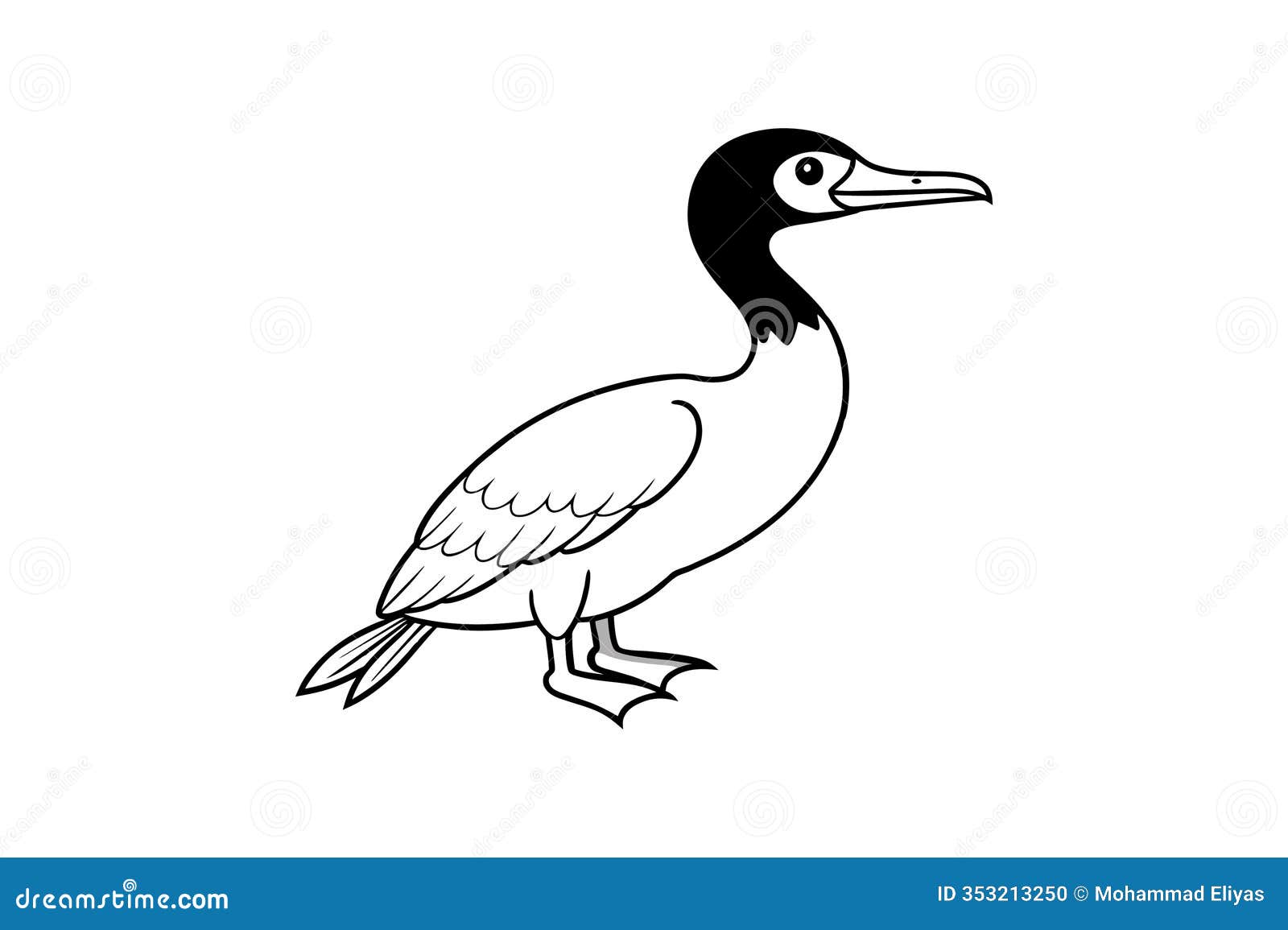 Cormorant Bird Coloring. Vector Outline Image Royalty-Free Cartoon ...