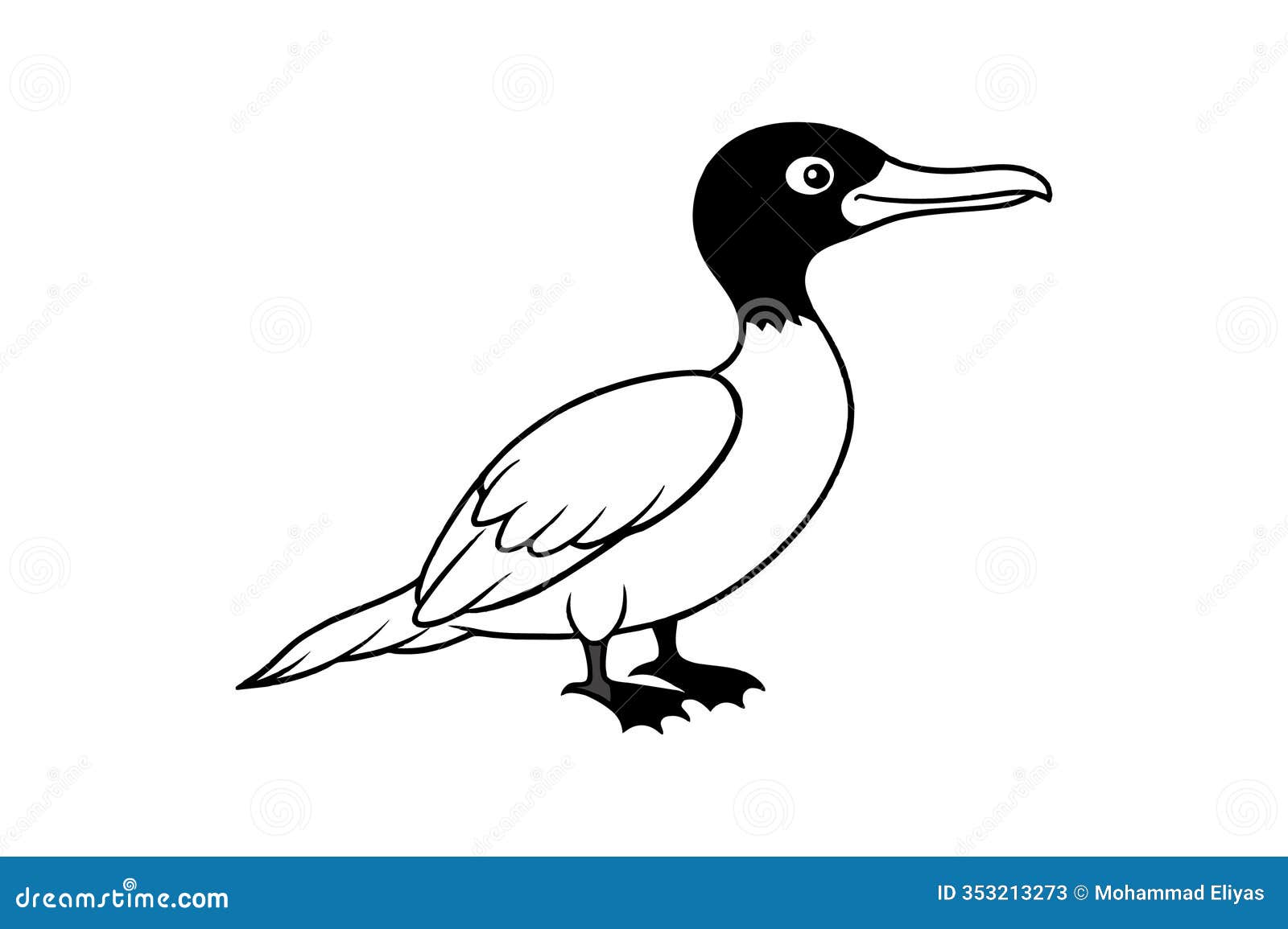 Beautiful Cormorant Bird Line Art Vector Illustration Stock Vector ...