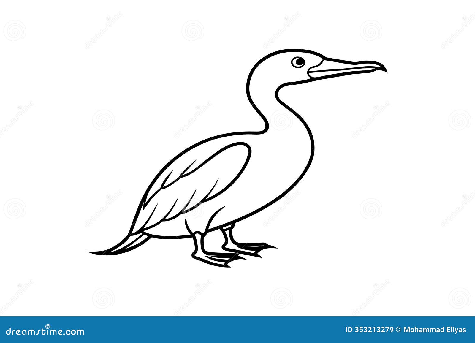 Beautiful Cormorant Bird Line Art Vector Illustration Stock Vector ...