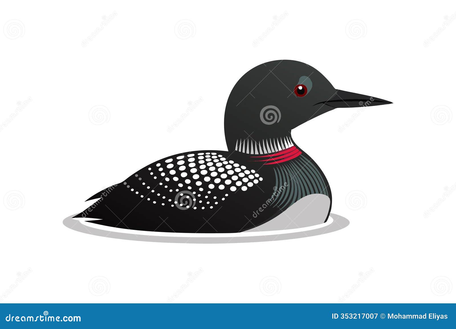 Common Loon Bird Vector Art Illustration Image Stock Illustration ...