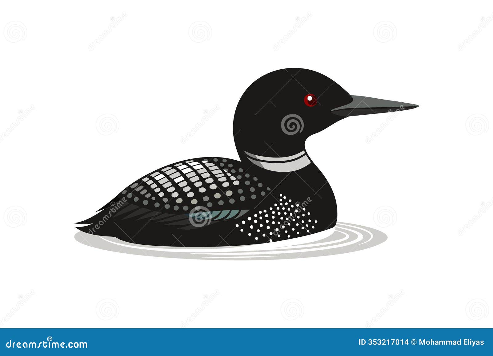 Common Loon Bird Vector Art Illustration Image Stock Illustration ...