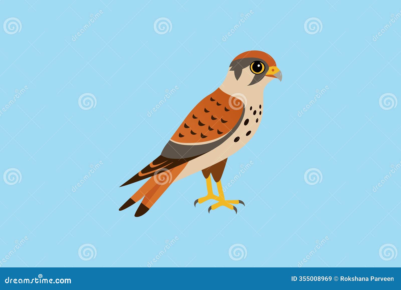 American Kestrel Bird Vector Artwork Stock Illustration - Illustration ...