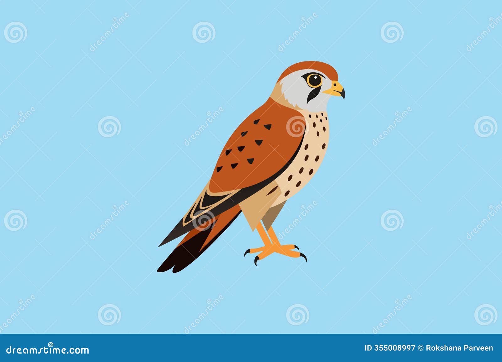 American Kestrel Bird Vector Artwork Stock Photo | CartoonDealer.com ...