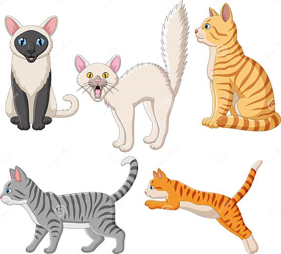 Cartoon cat collection set stock illustration. Illustration of poses ...