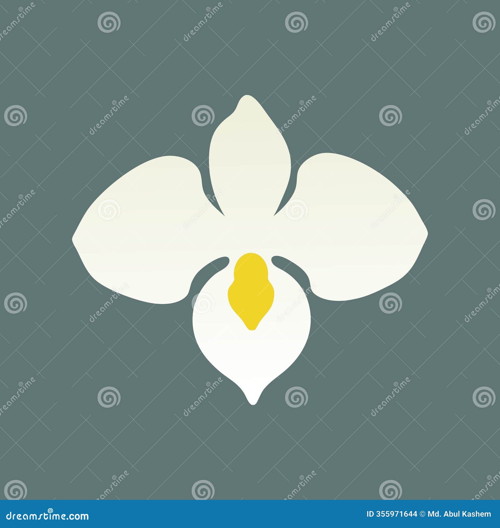 Gold Of Kinabalu Orchid Flower Vector Artwork Stock Photo ...