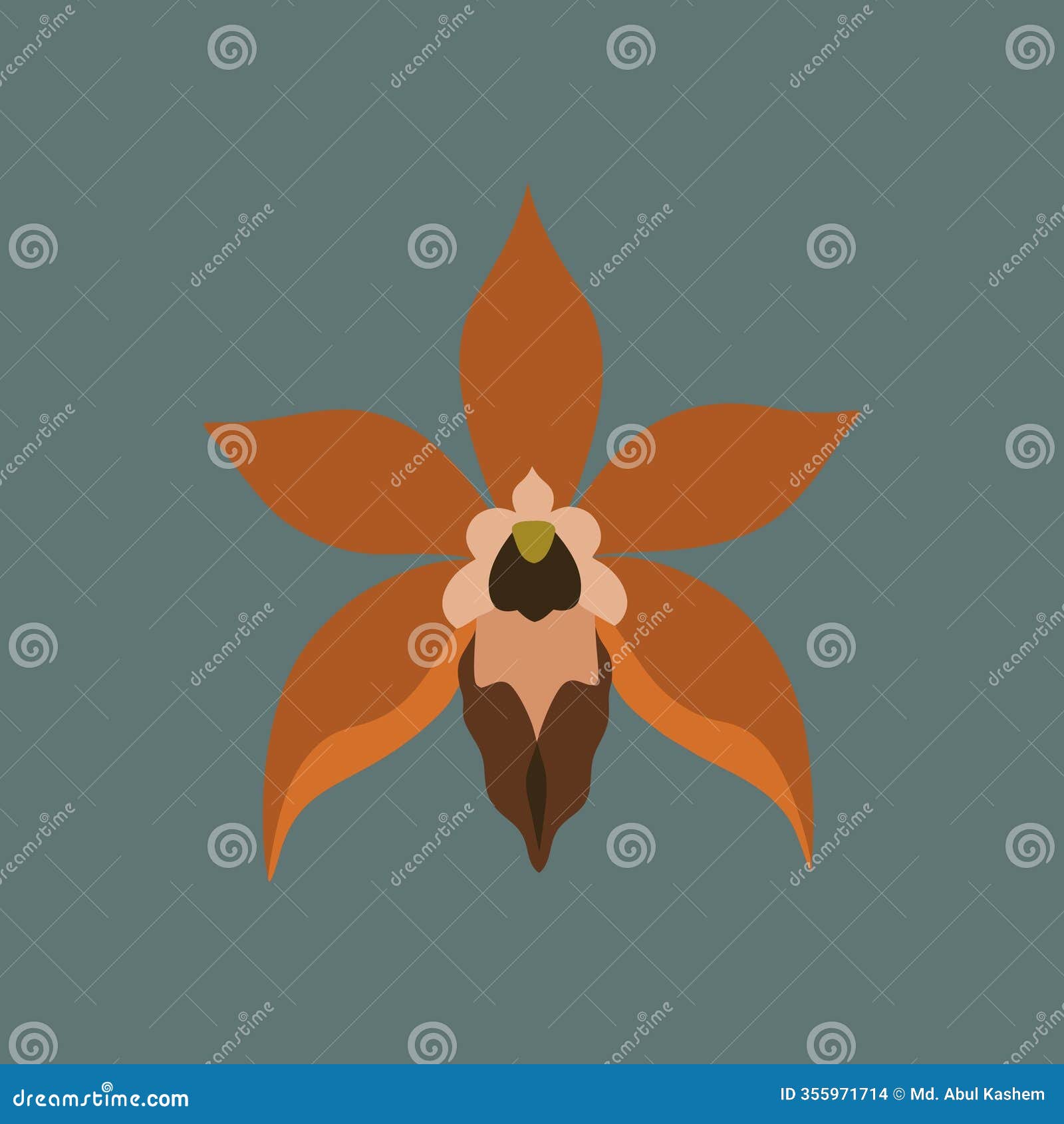 Gold Of Kinabalu Orchid Flower Vector Artwork Stock Photo ...