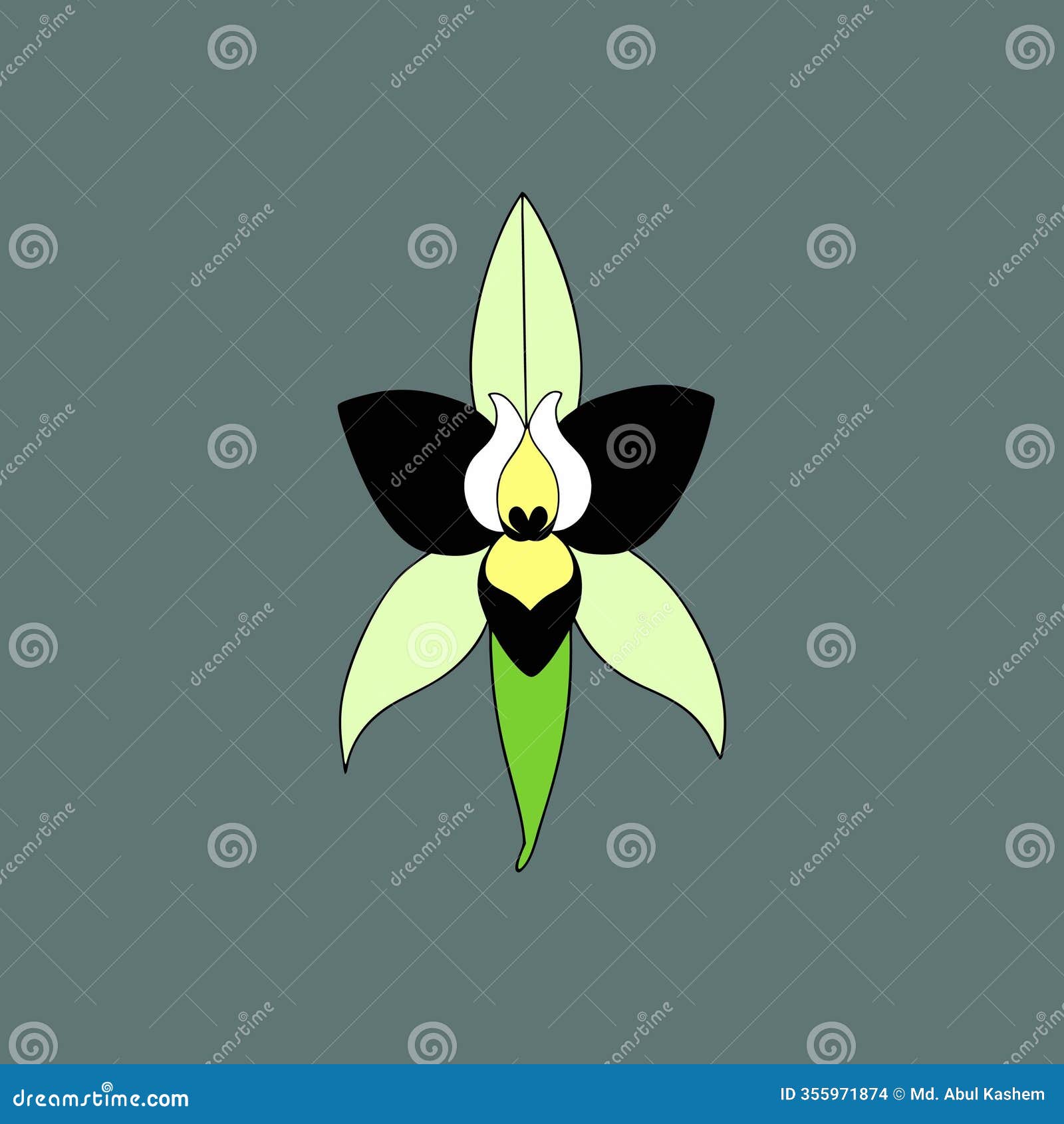 Gold Of Kinabalu Orchid Flower Vector Artwork Stock Photo ...