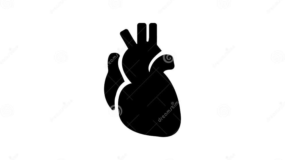 Anatomical heart icon stock illustration. Illustration of depiction ...