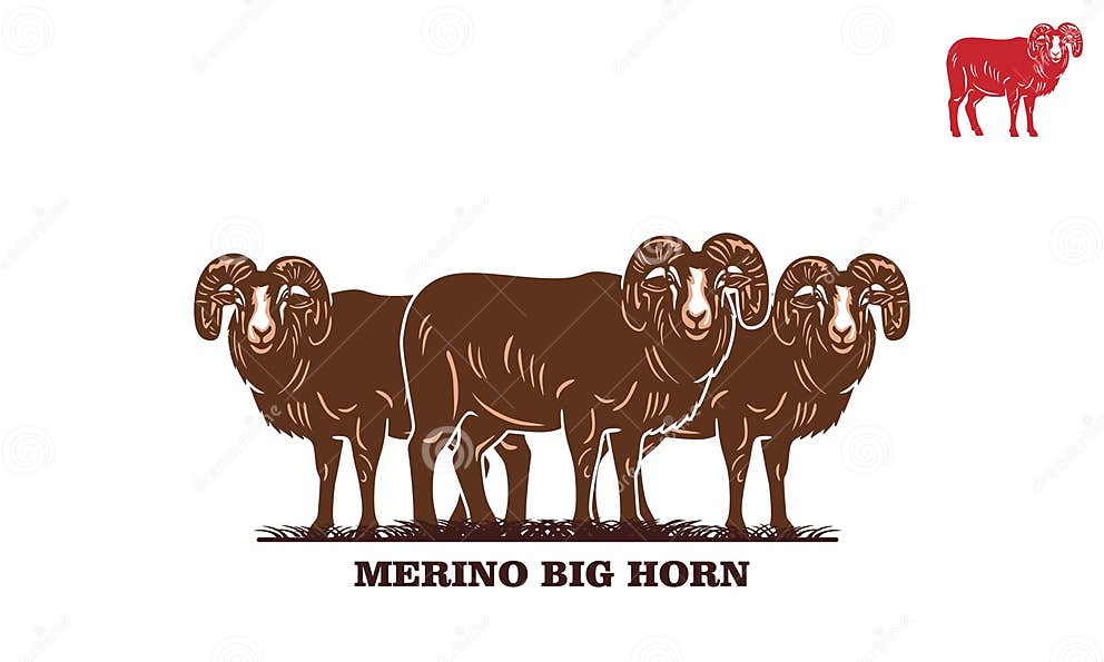 Great Bighorn Merino Sheep Logo Stock Vector - Illustration of horn ...