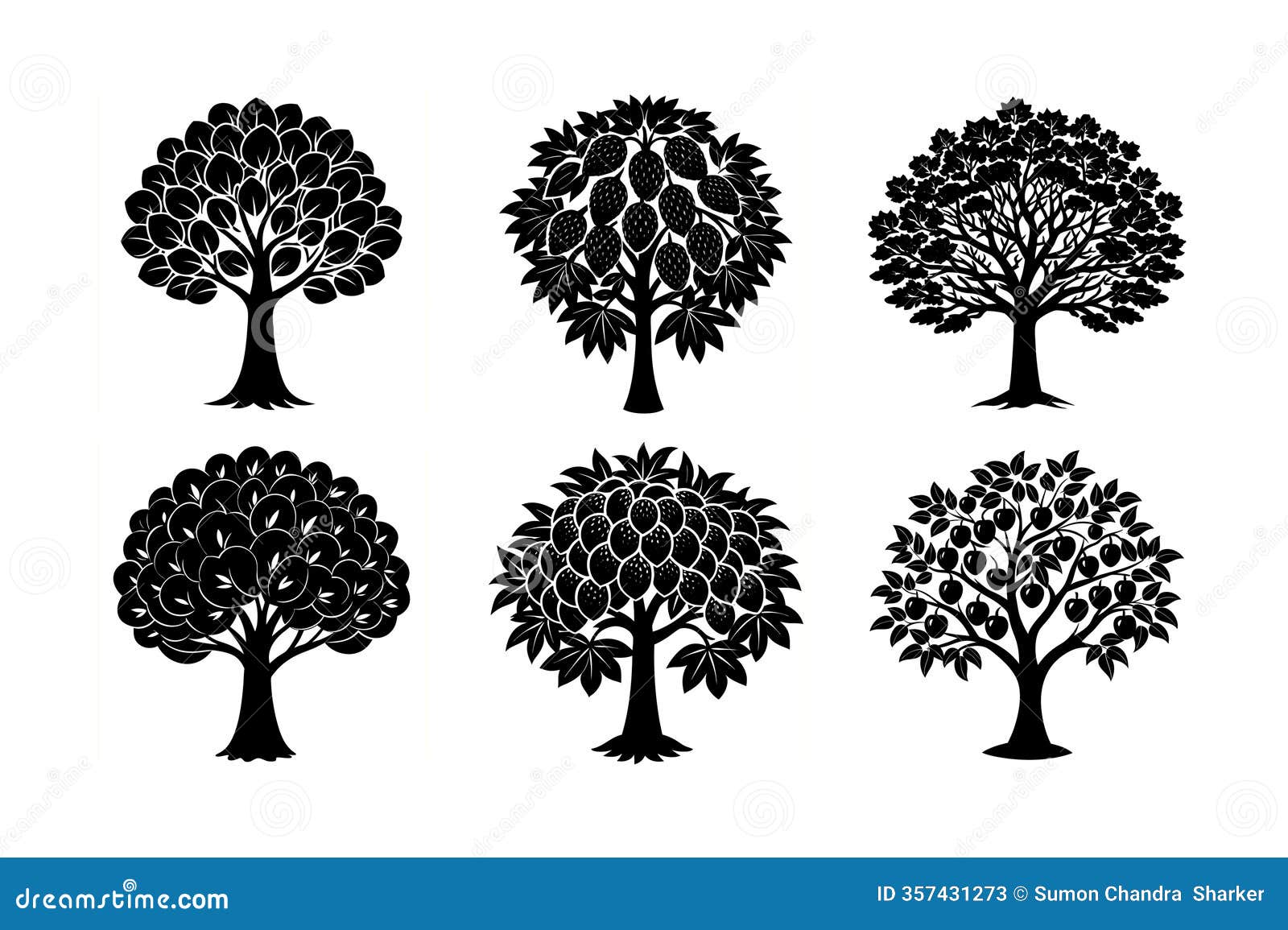 Set of Rosewood, Moringa, Chicle, Jujube, and Breadfruit Tree ...