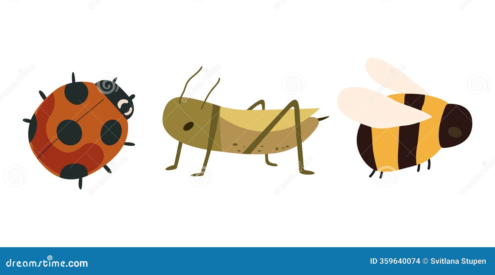 Vector Set Of Ladybug In Different Positions. Hand Drawn Ladybug ...