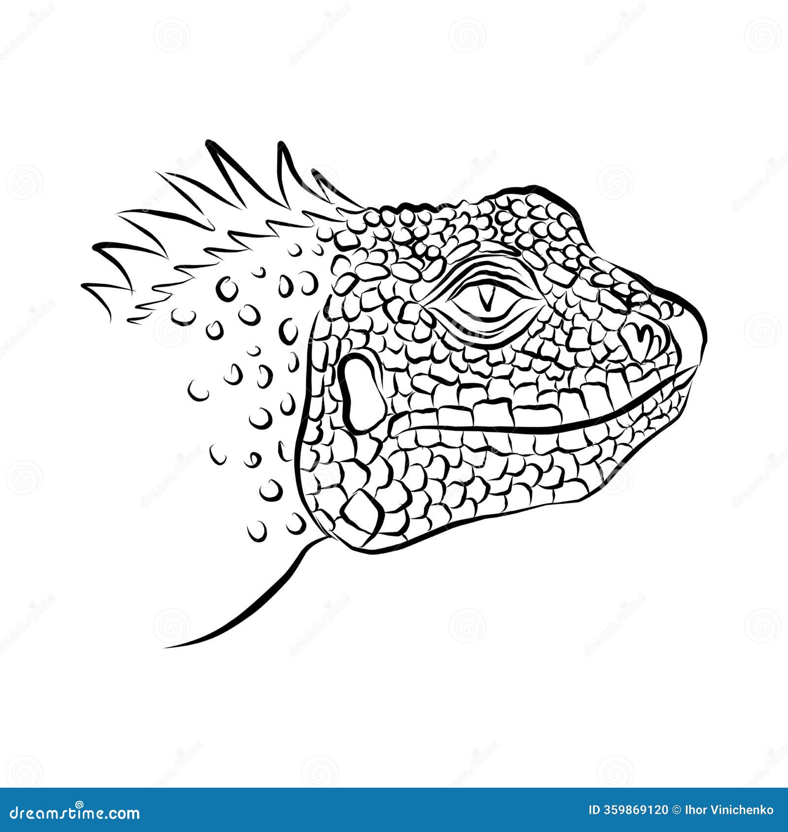 Linear Minimalistic Drawing of a Lizard Head. Stock Illustration ...