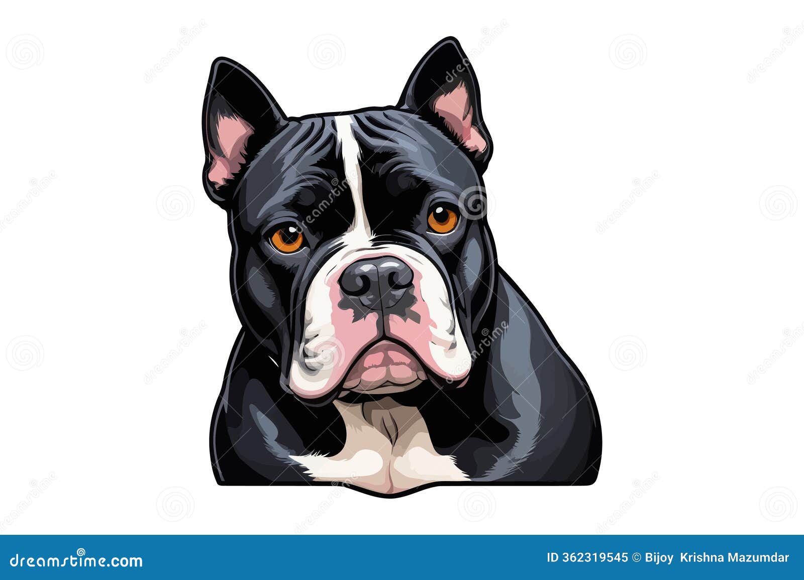 Purebred Black American Bully Dog – Intelligent, Friendly, and ...