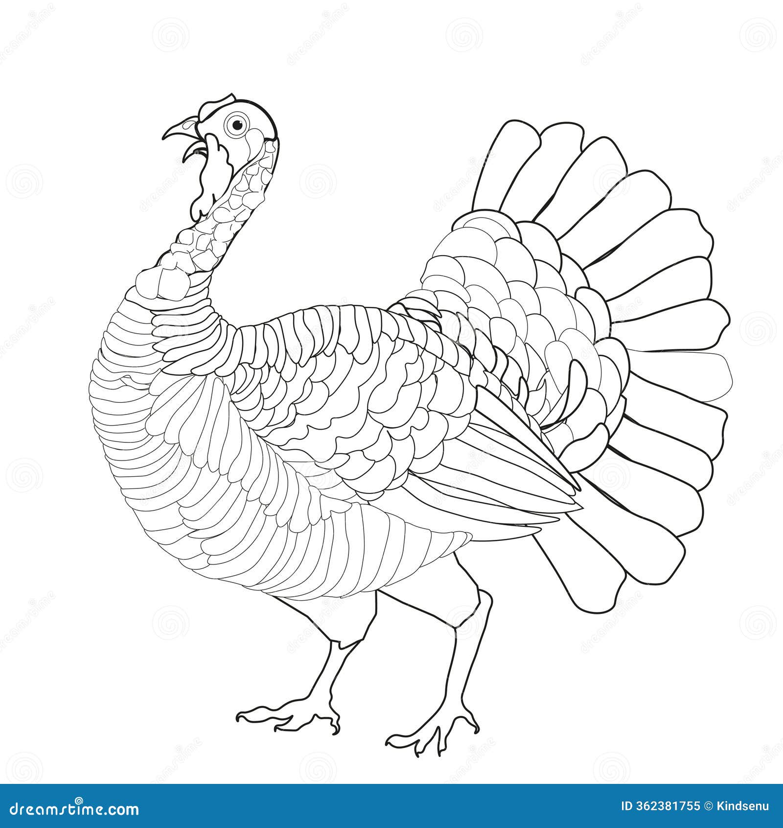 Turkey Line Drawing Vector Illustration Stock Illustration ...