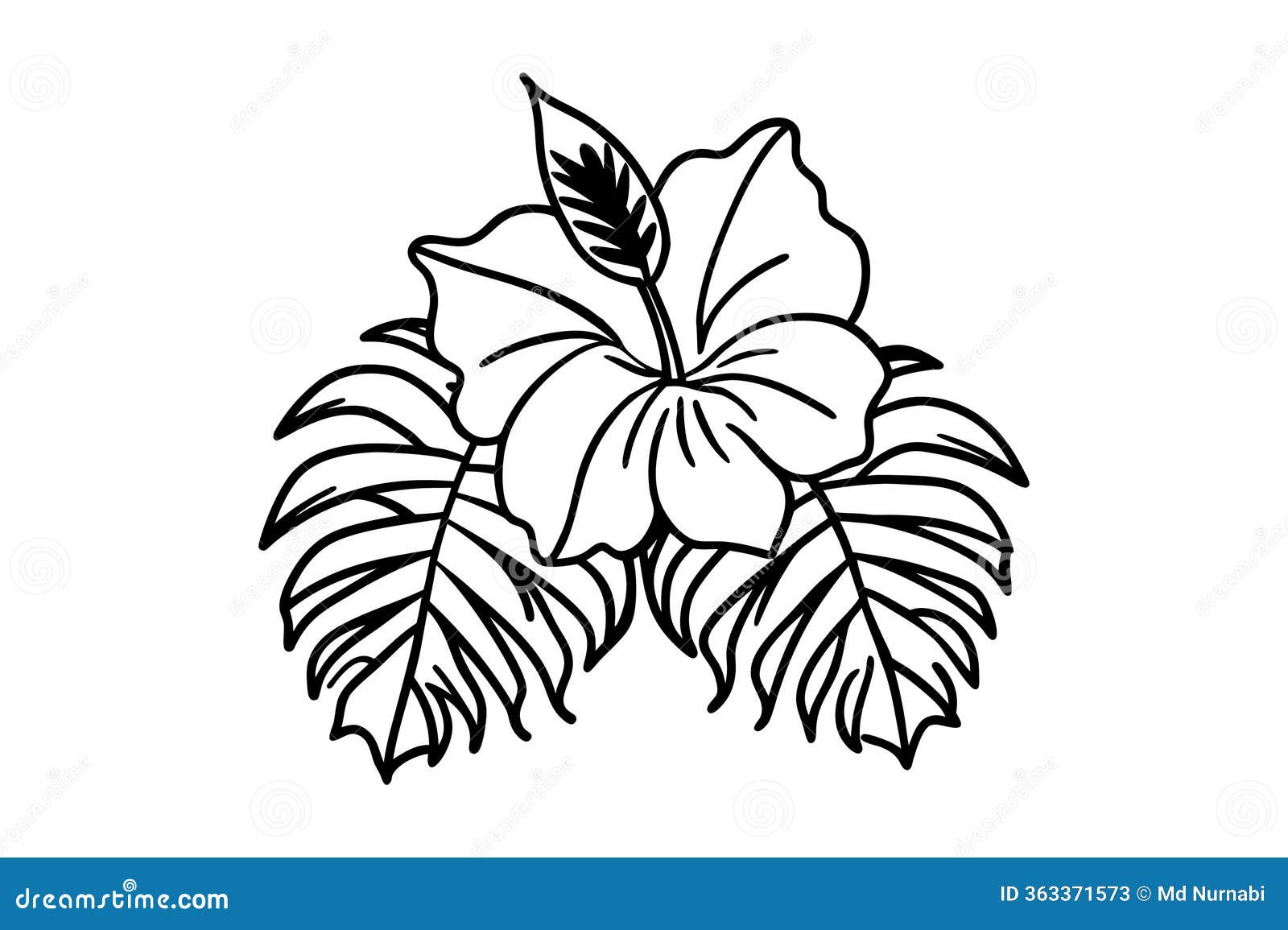 Illustration Of A Hibiscus Flower With Prominent Petals And A Central ...