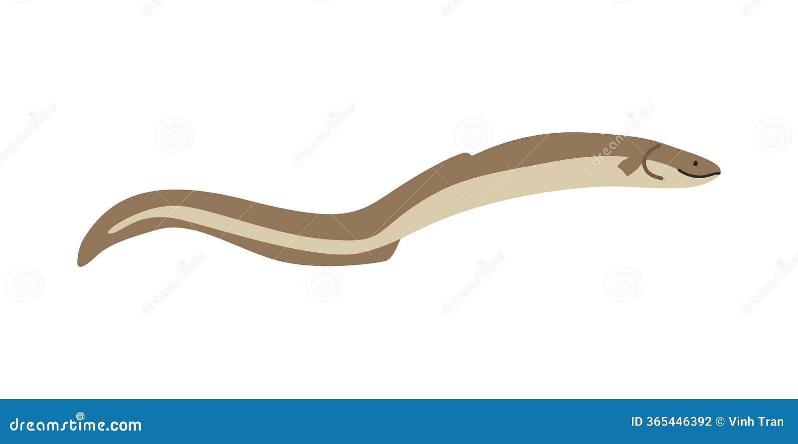 Eel (Anguilliformes) Cartoon Clipart. Cute Eel Vector Illustration ...