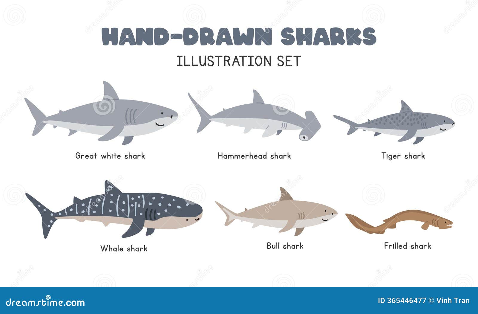 Types Of Sharks. Big Set Of Hand Drawn Illustrations In Retro Engraving ...