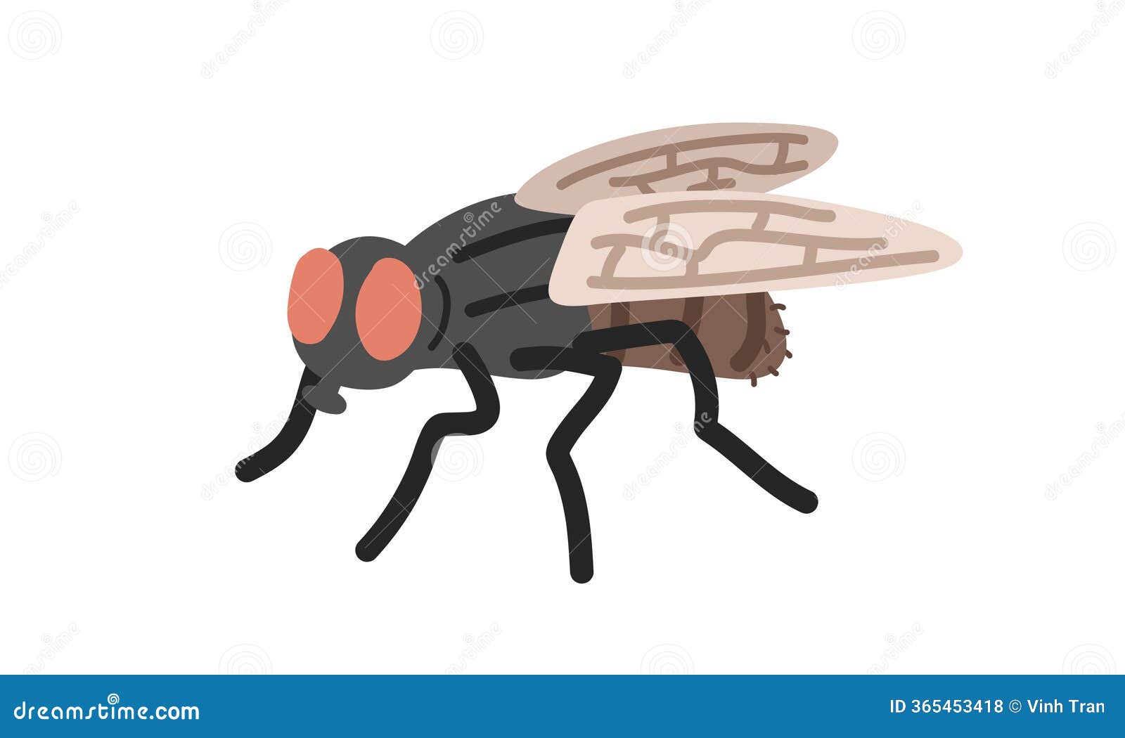 Fly Cartoon Clipart. Cute Common Housefly (Musca Domestica) Vector ...