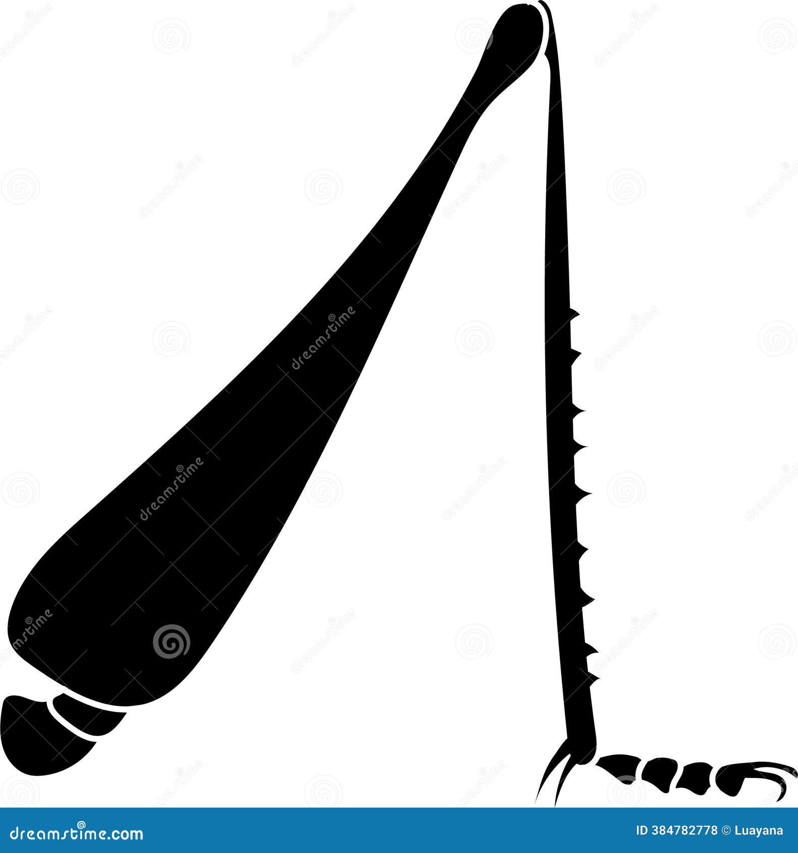 Tibia. Silhouette. Vector Illustration. An Integral Part Of The ...