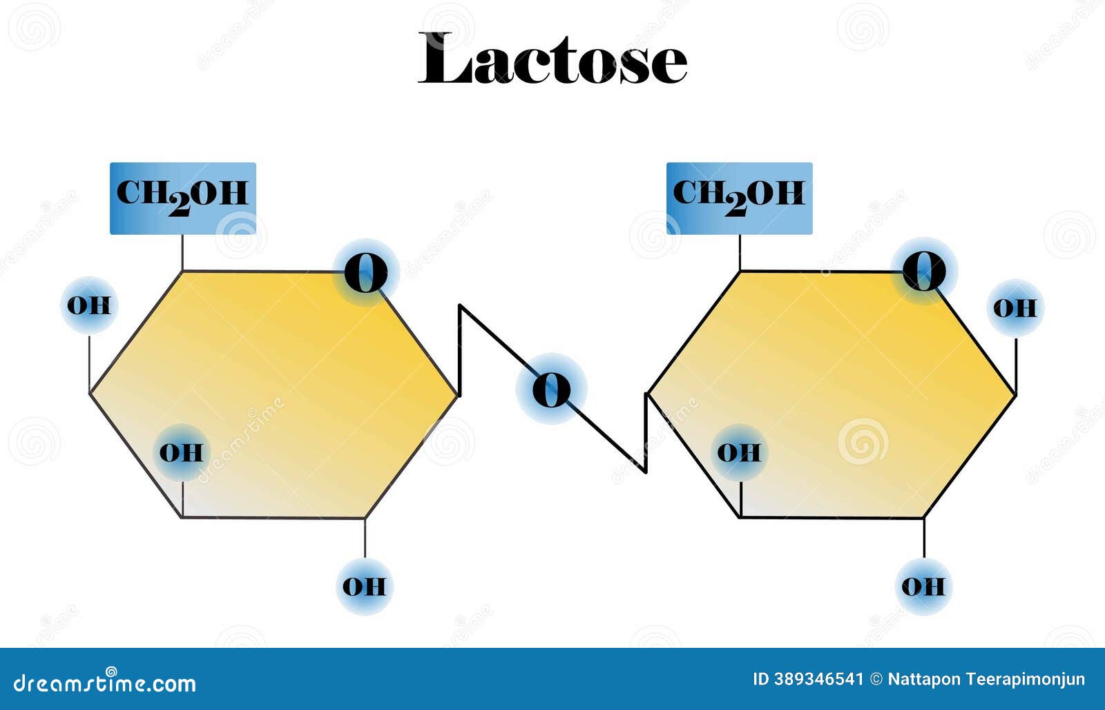 Lactose Formula With Molecular Structure On Blue Background Vector ...