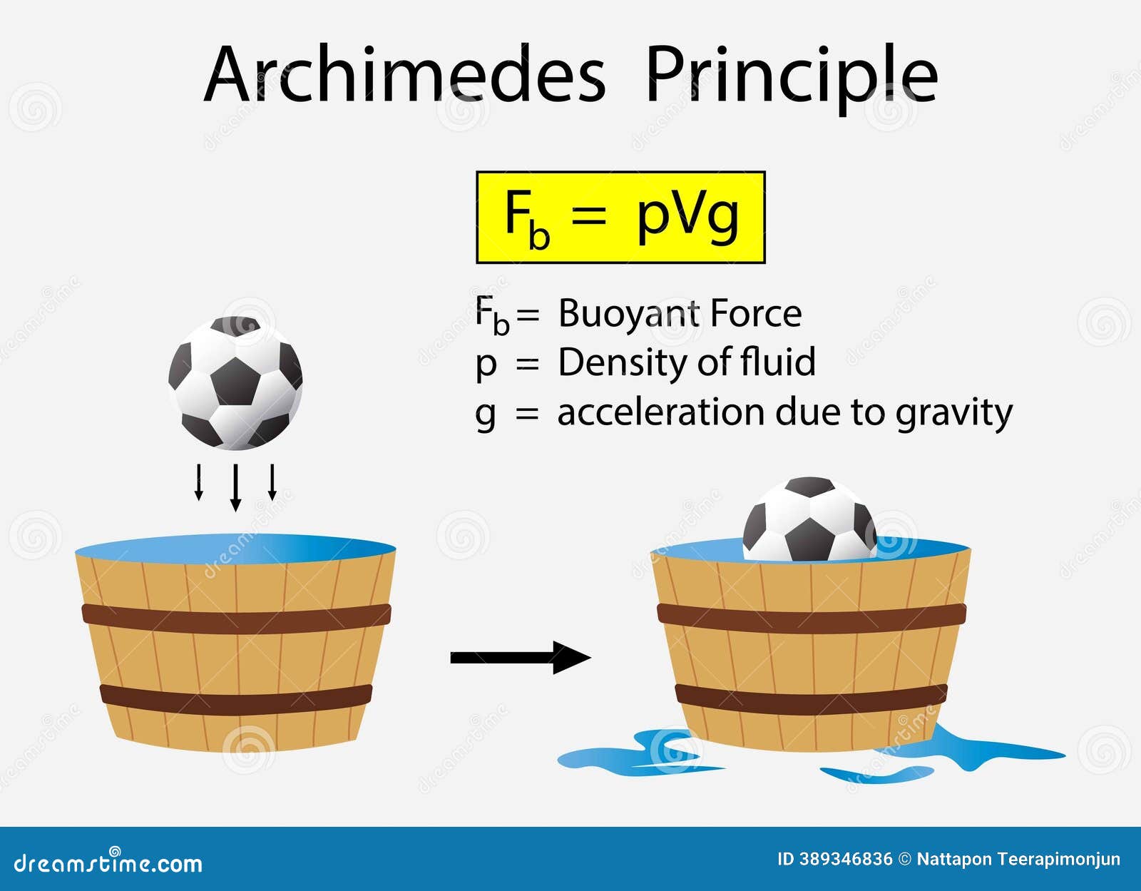 Buoyant Force Infographic Diagram Showing How Ship Float On Water ...