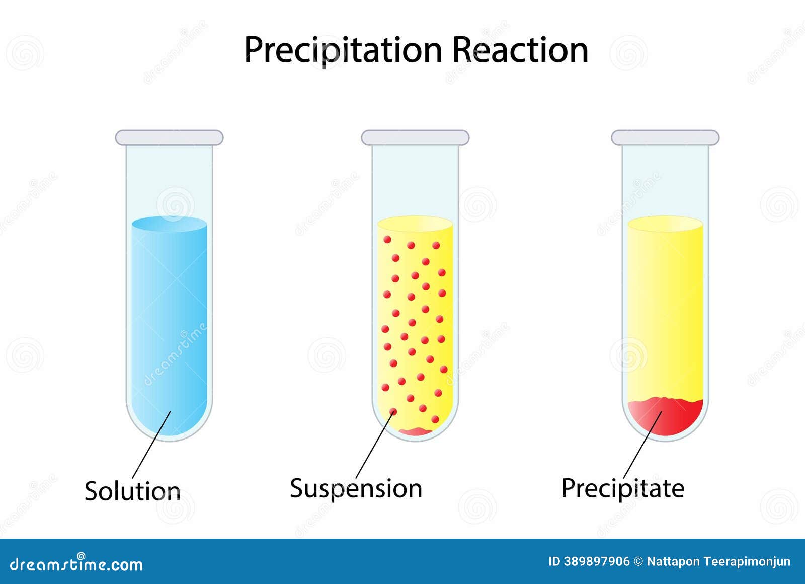 Chemical Precipitation Reaction In Suspension Solution Royalty-Free ...