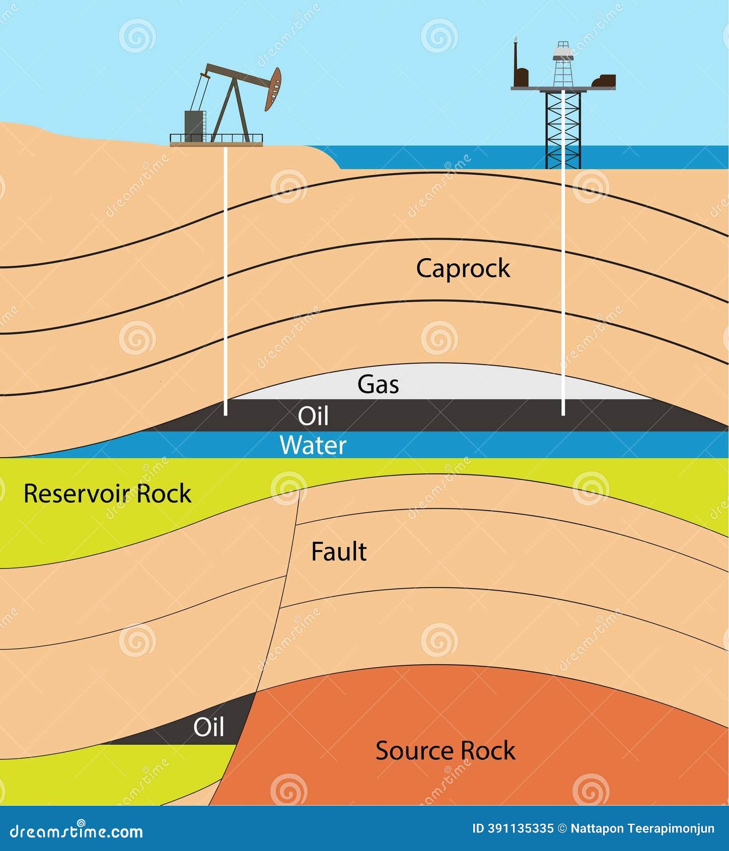 Soil Layer Section, Dirt Cross Ground. Earth With Rock And Root Plants ...