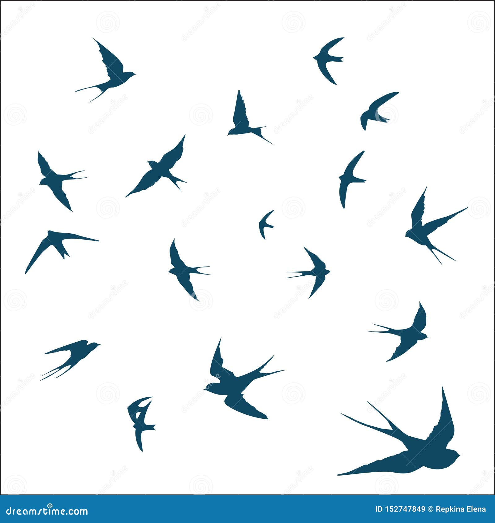 Bird swallow set stock vector. Illustration of draw - 152747849
