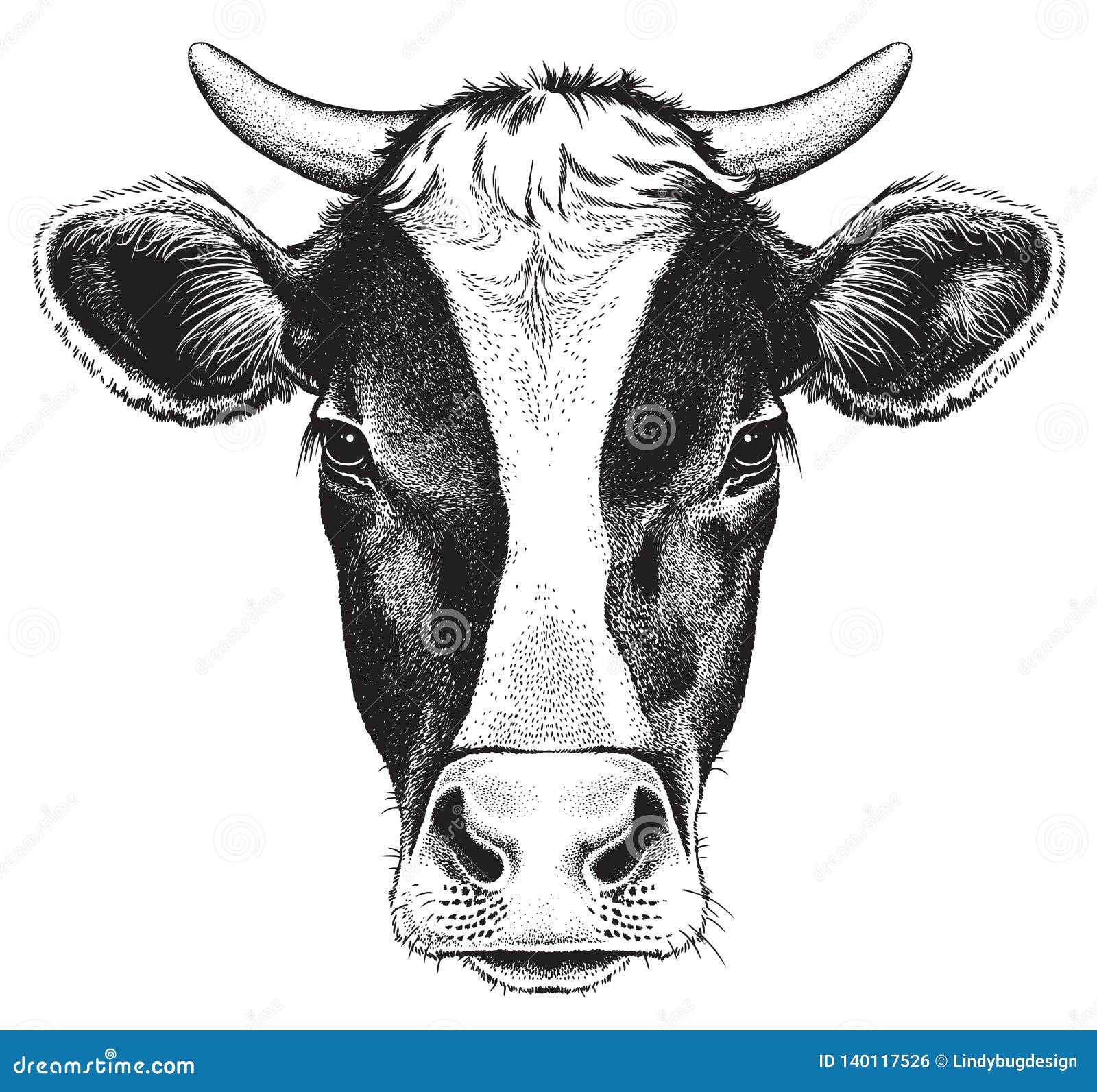 Black and White Sketch of a Cow`s Face. Stock Vector - Illustration of ...