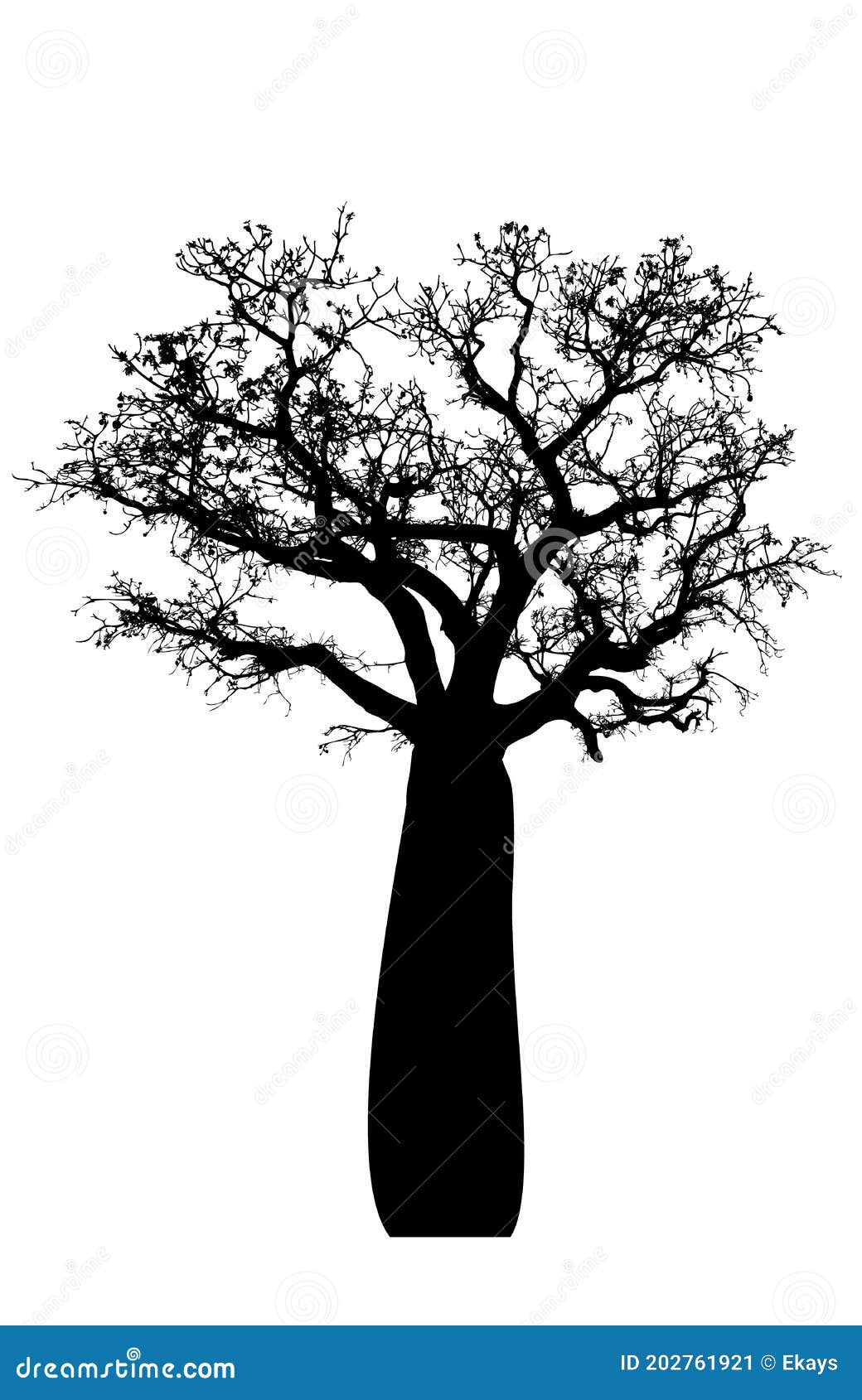 Australian Boab Tree on White Background Stock Vector - Illustration of ...