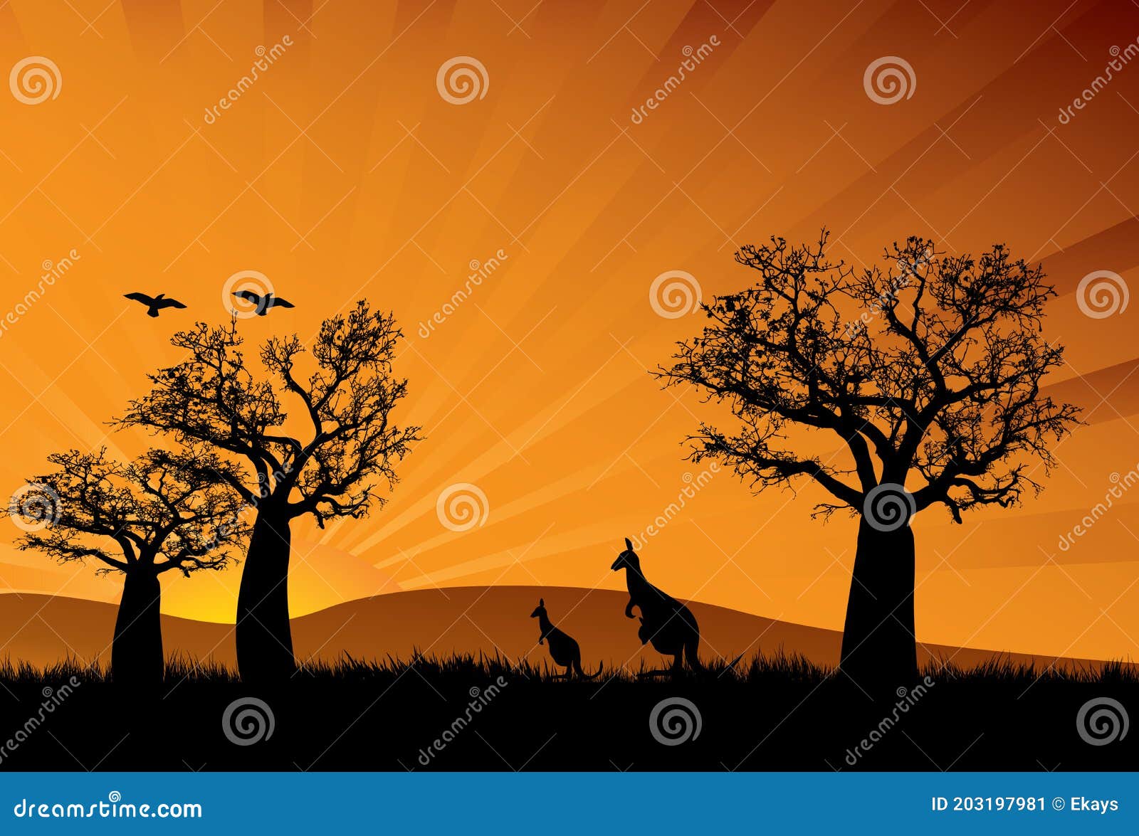 Australian Boab Tree On White Background Cartoon Vector | CartoonDealer ...