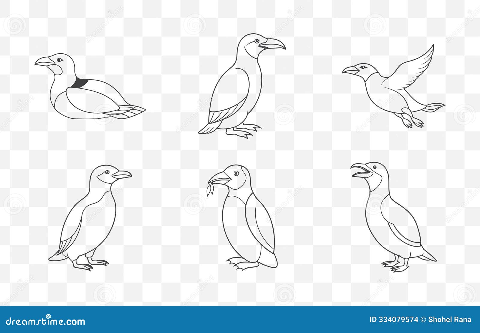 Print Comprehensive Merlin Line Art Vector Set Detailed Illustrations ...