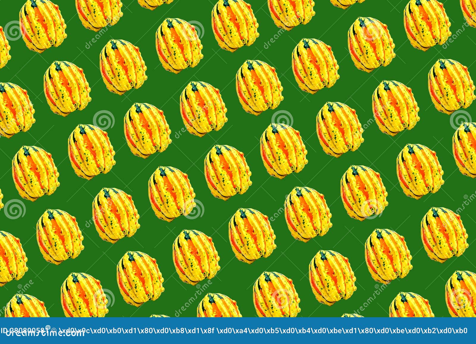 Print Decorative Pumpkin Large Format Deep Green Background Stock Image ...