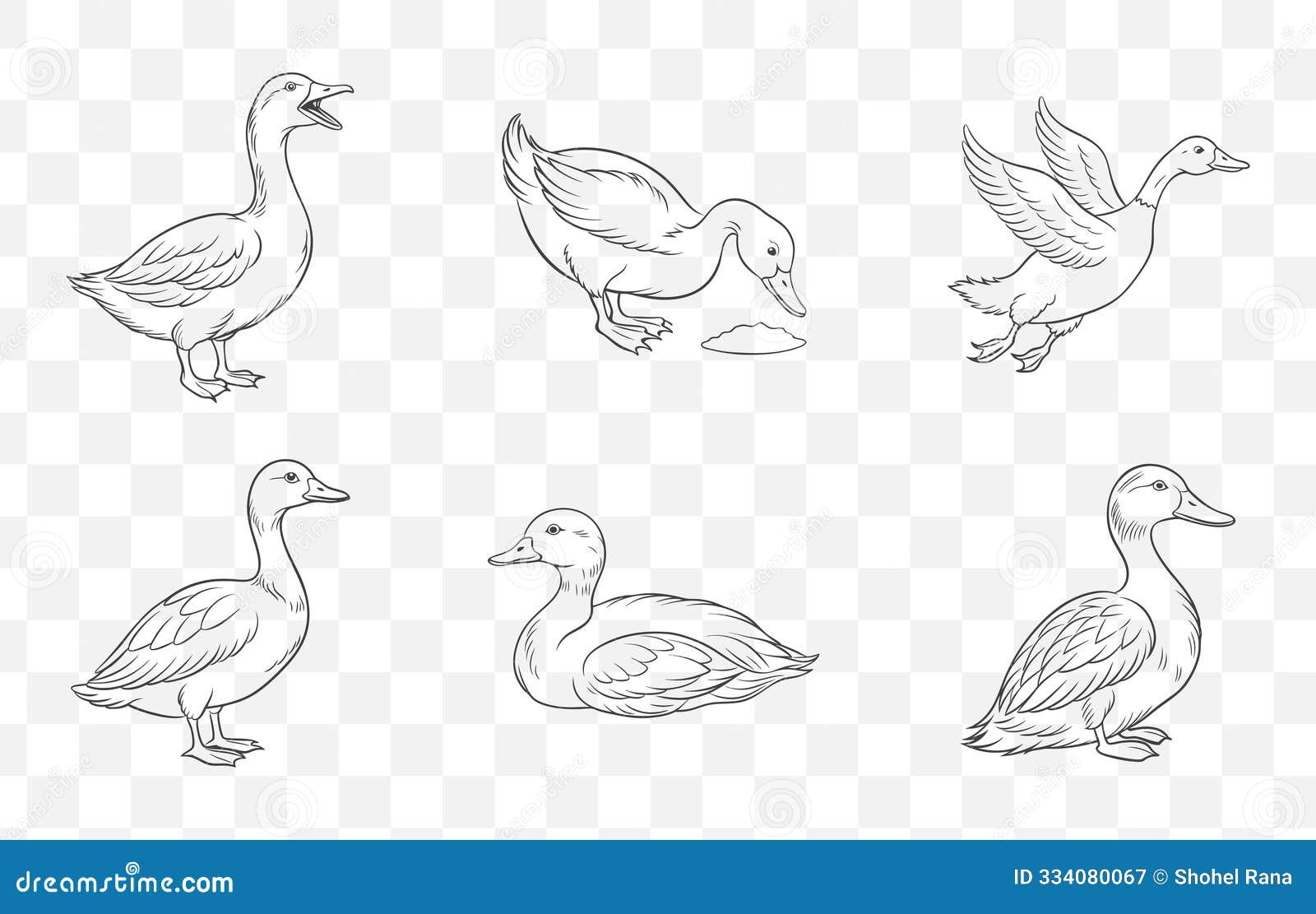 Print Duck Line Art Vector Set with Various Poses and Detailed ...