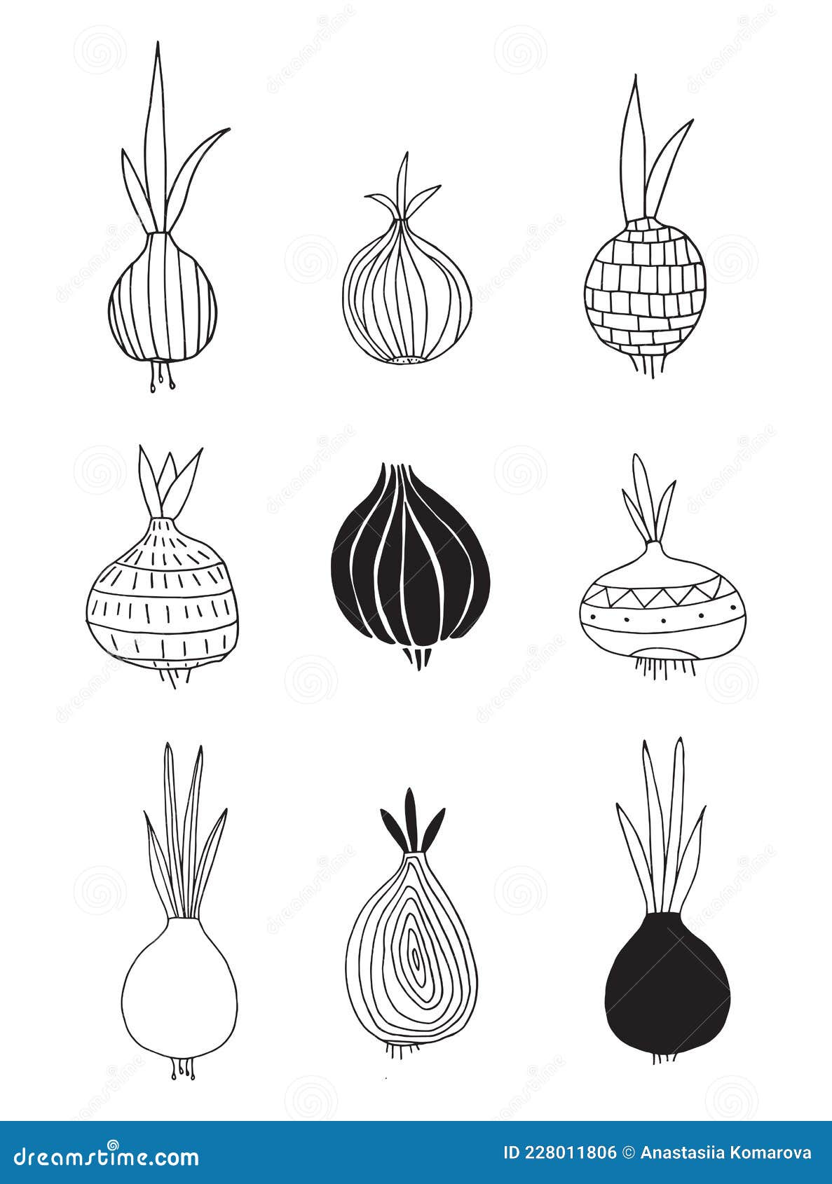 Print with Graphic Onion. Doodle Sketch Stock Vector - Illustration of ...