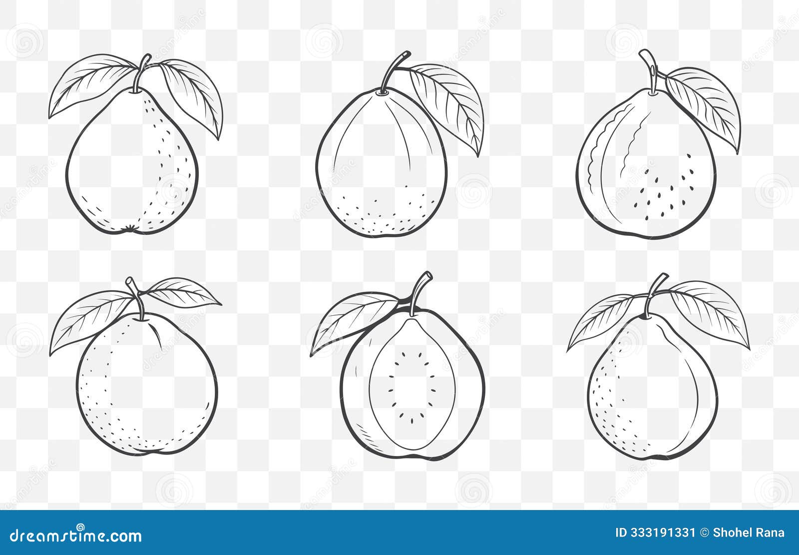 Print Guava Line Art Vector Set Featuring Various Styles and Details ...