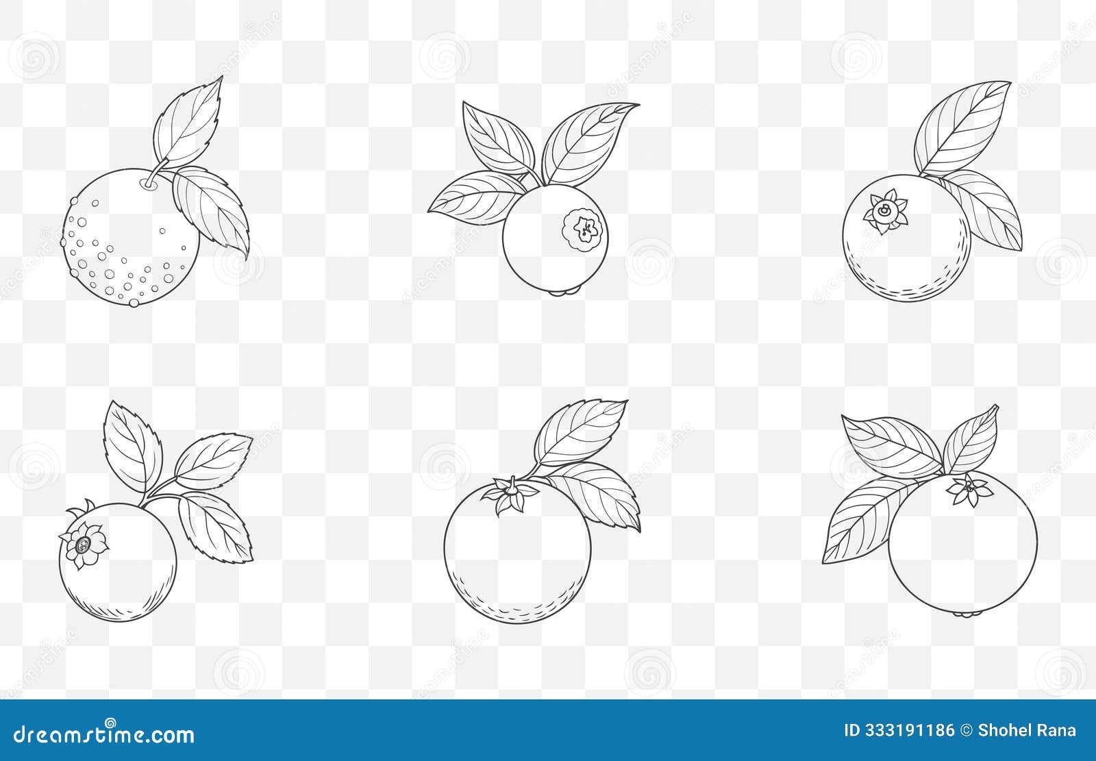 Print Huckleberry Line Art Vector Set Featuring Detailed Illustrations ...