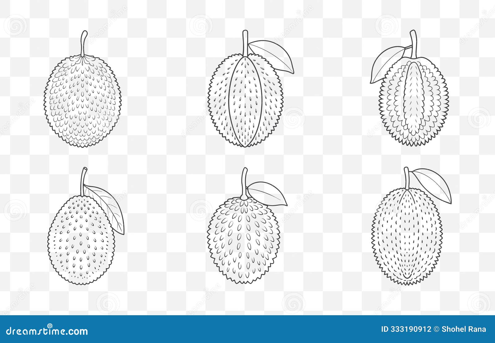 Print Jackfruit Line Art Vector Set With Detailed Illustrations Of ...