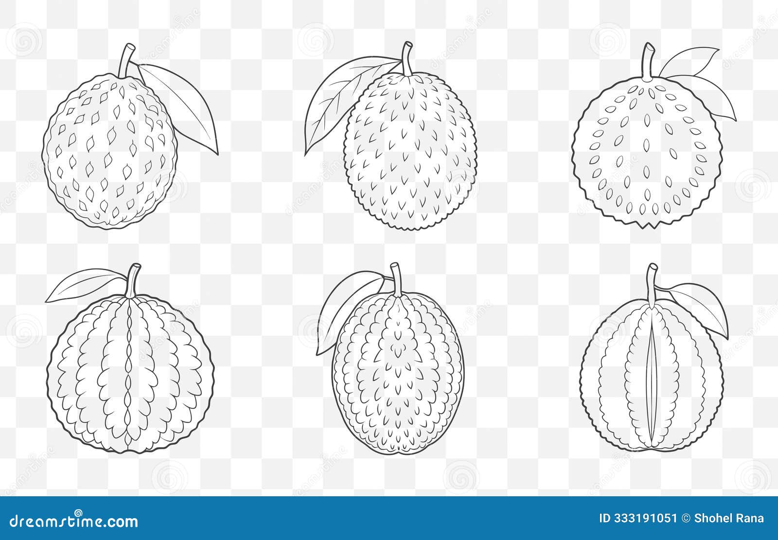 Print Jackfruit Line Art Vector Set With Detailed Illustrations Of ...