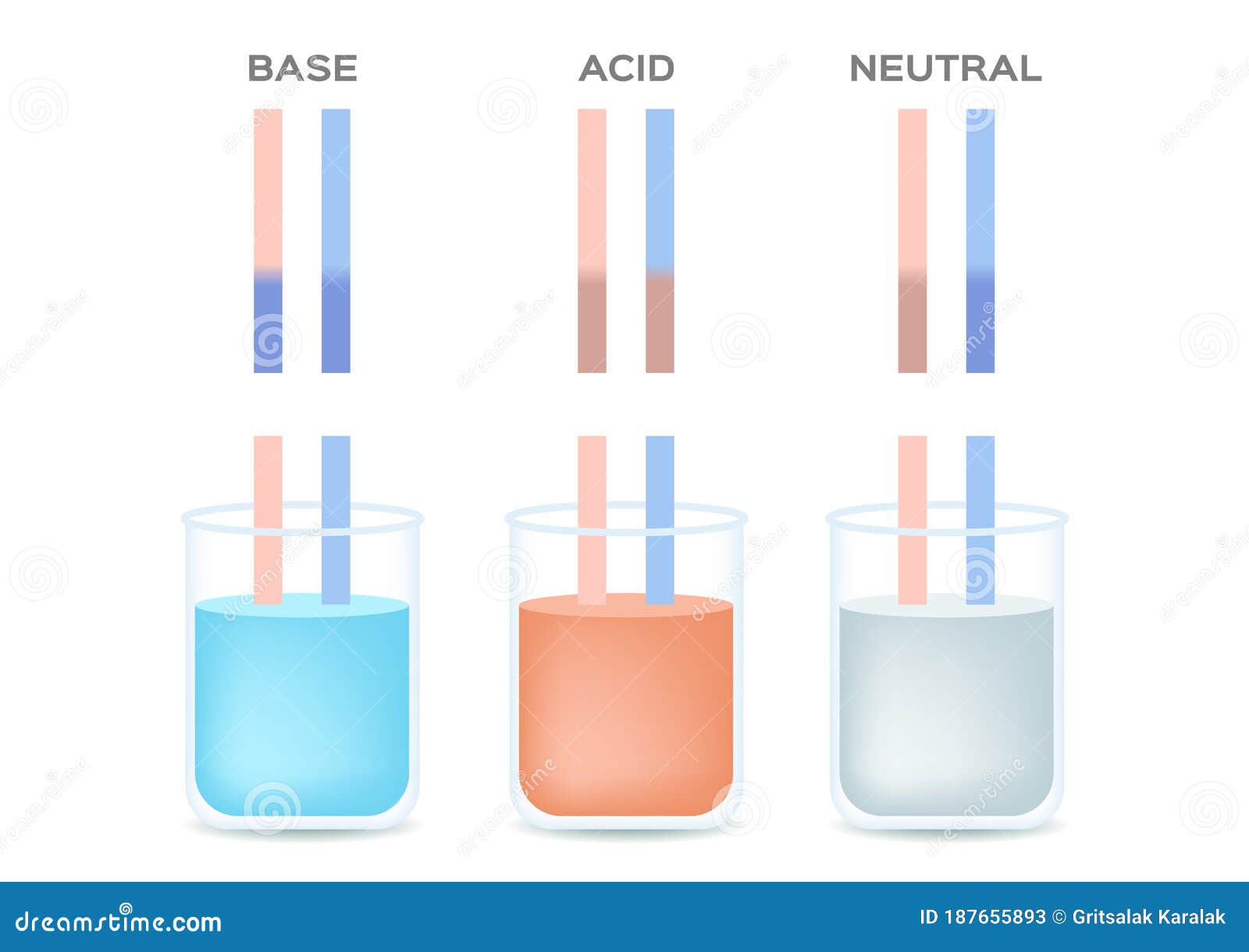 Litmus Test, Acid, Base, Neutral Ph Paper Test. Vector | CartoonDealer ...
