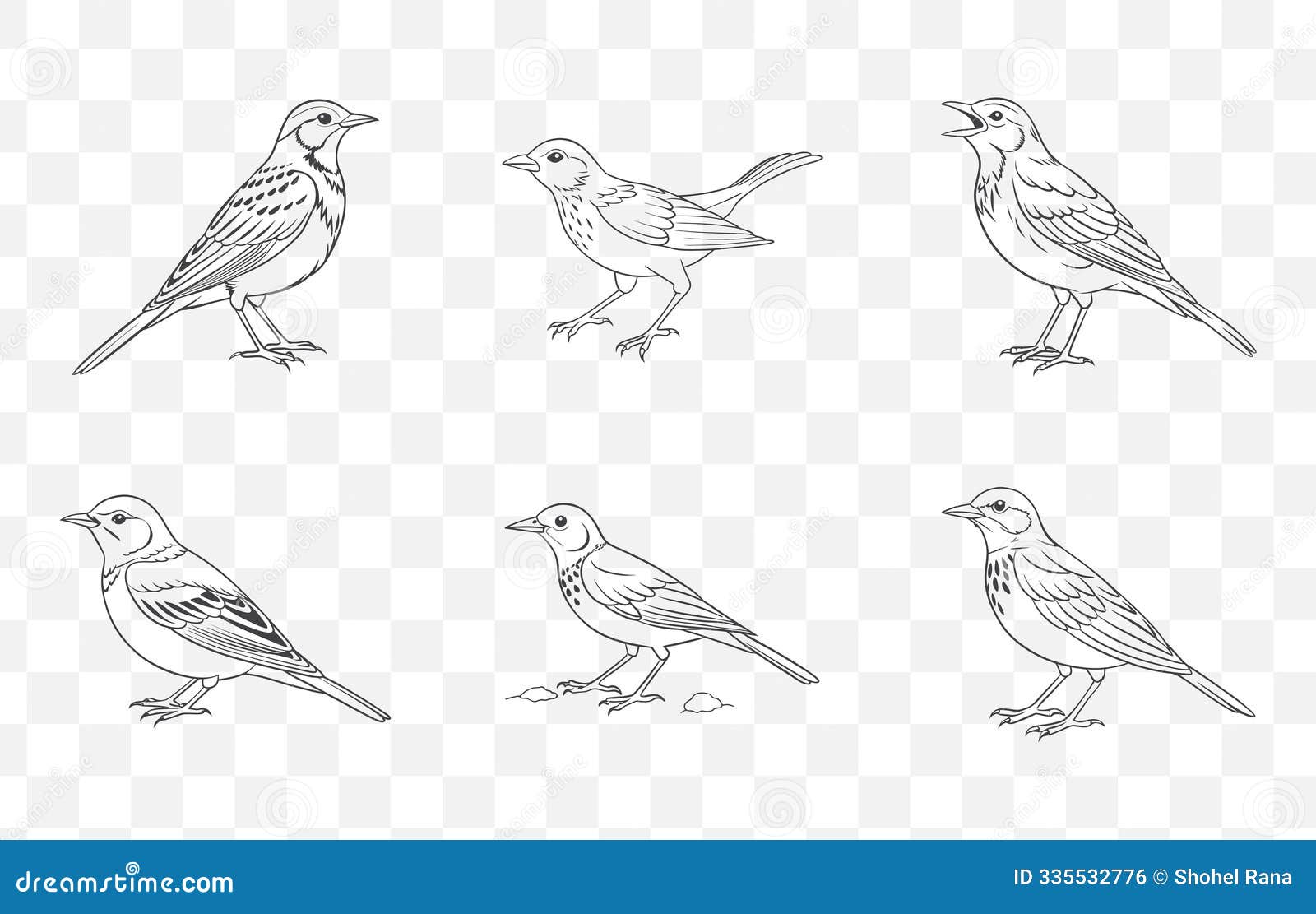 Print Pipit Line Art Vector Set Collection of High Quality Minimalistic ...