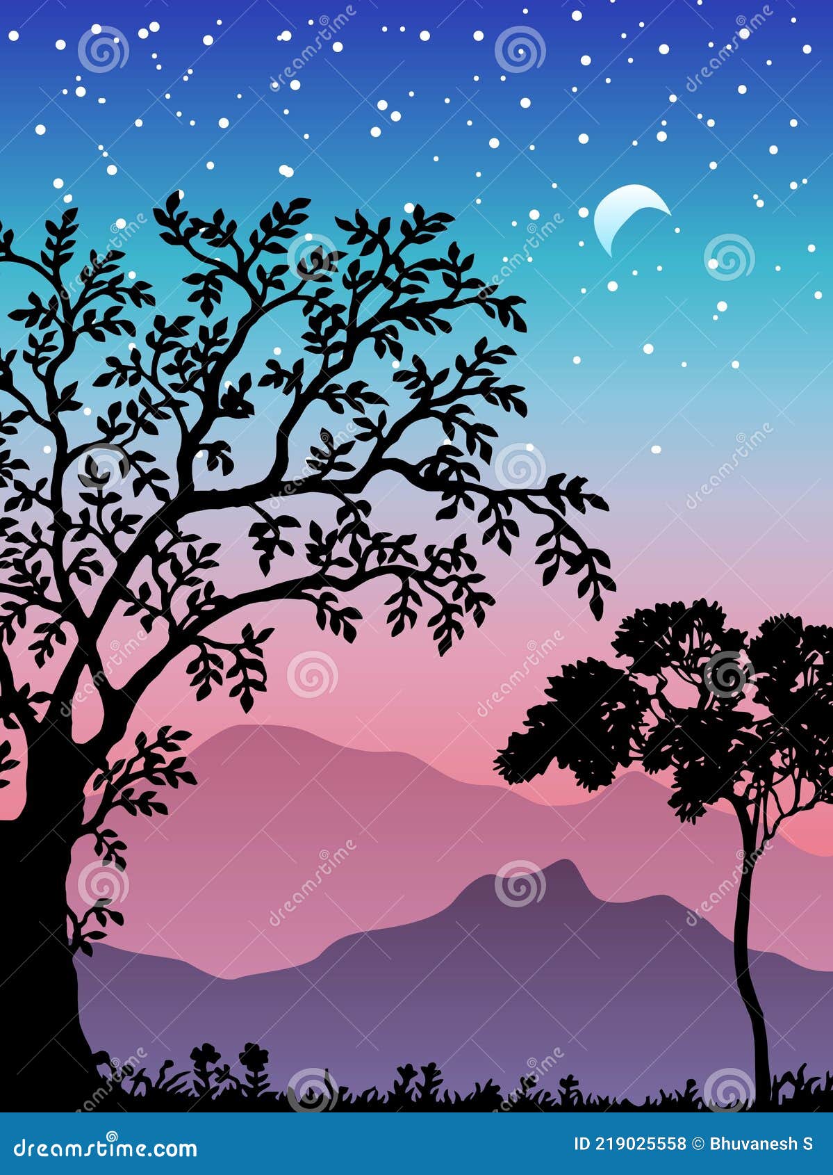 Artsy Nature Pictures