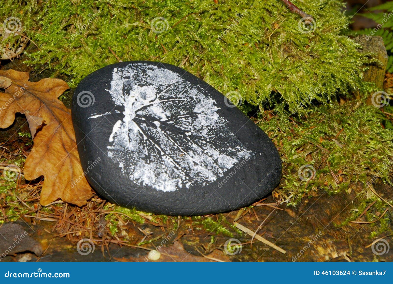 Print on stone stock photo. Image of lifeless, alive - 46103624