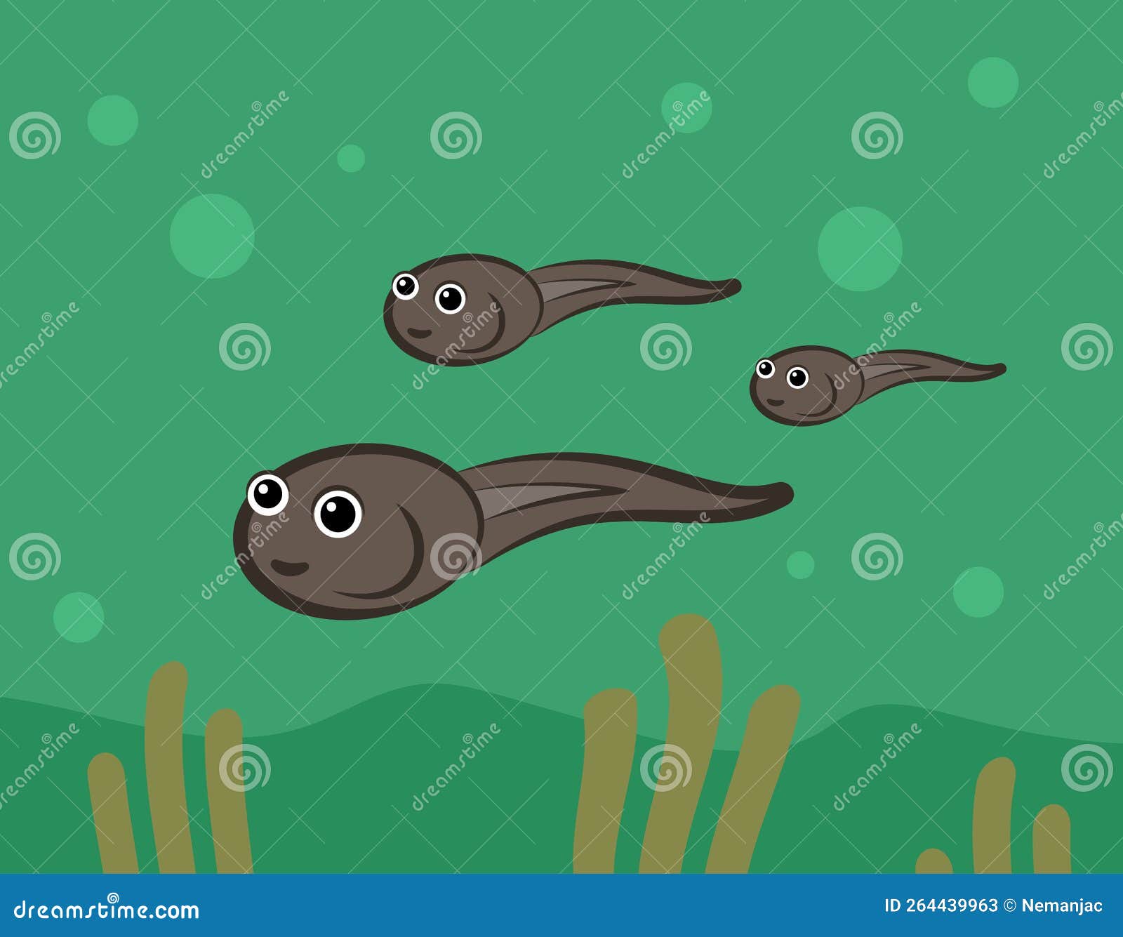Tadpole, Young Frog Cartoon Vector | CartoonDealer.com #264439971