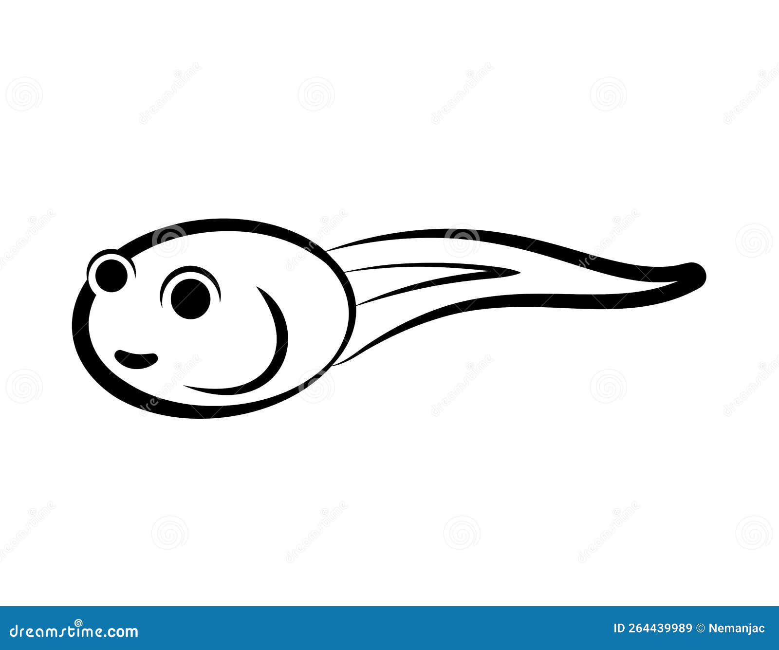 Tadpole, Young Frog Cartoon Vector | CartoonDealer.com #264439989