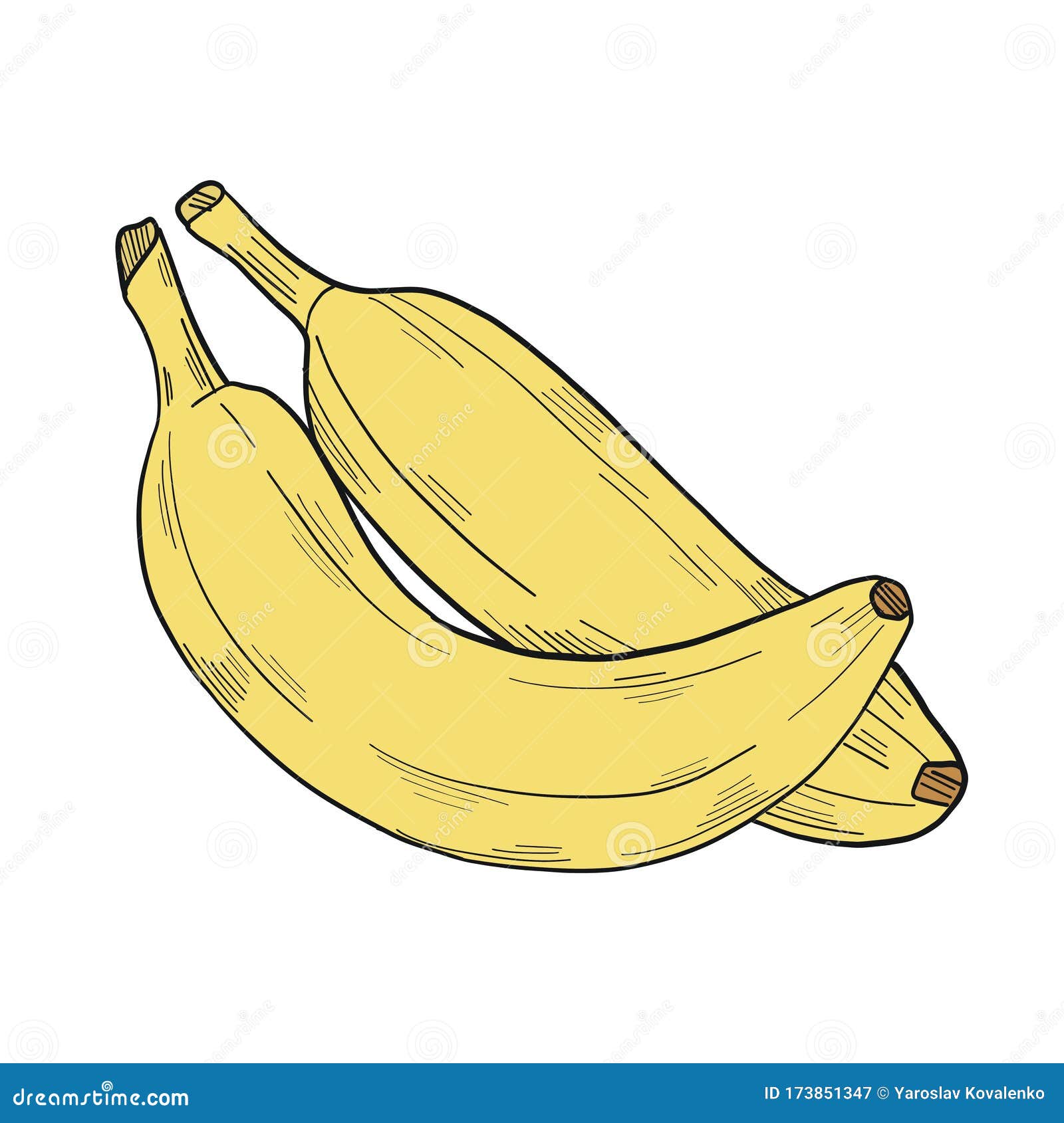 Two Bananas In Clipart Style In Isolate On A White Background Cartoon ...