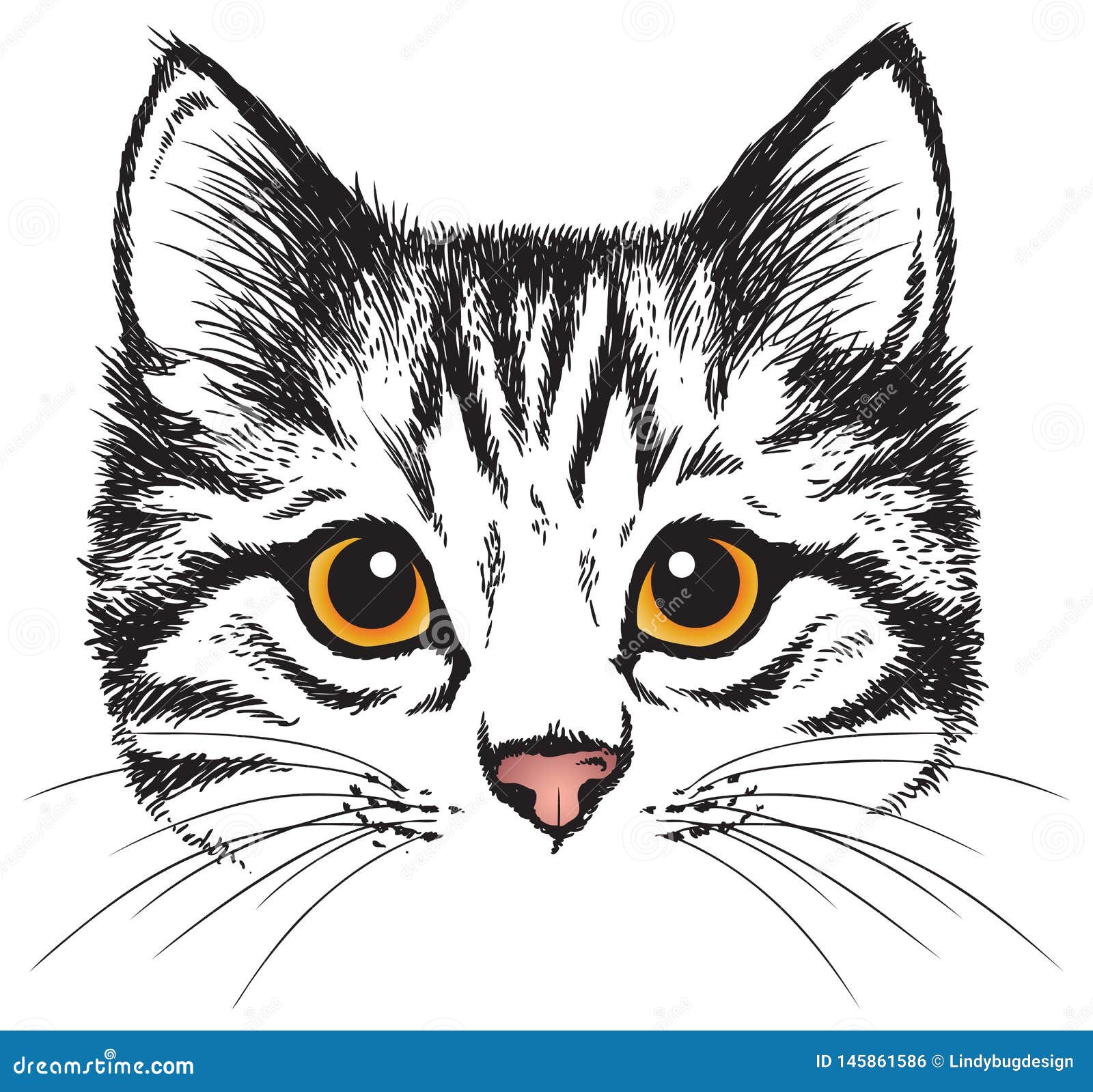 Vector Sketch of a Kitten`s Face Stock Vector - Illustration of pink ...