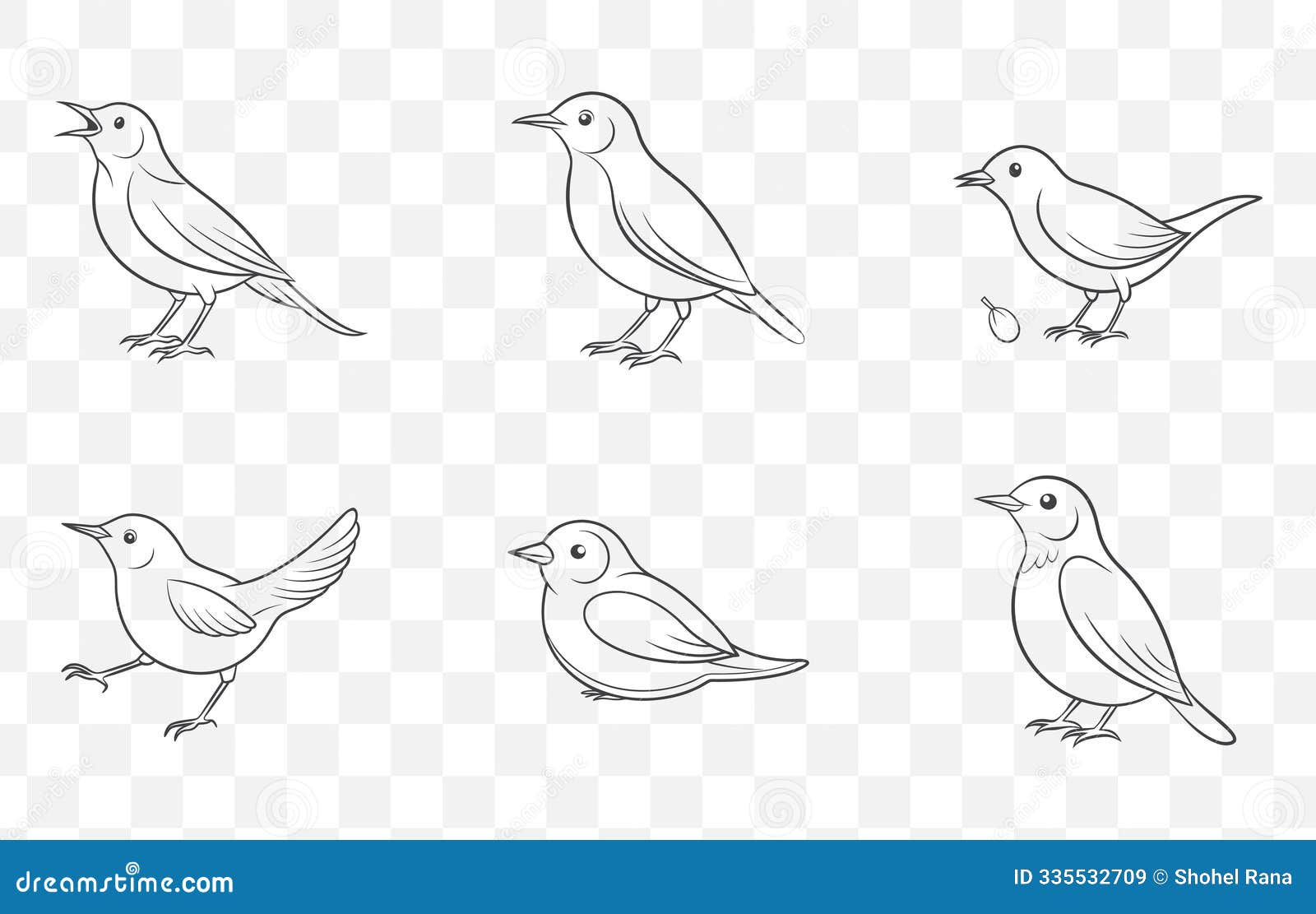 Print Warbler Line Art Vector Set with Intricate and Detailed Designs ...