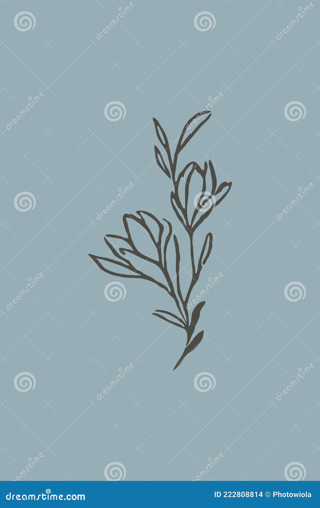 Printable Minimalist Botanical Illustration. Design for Postcards ...
