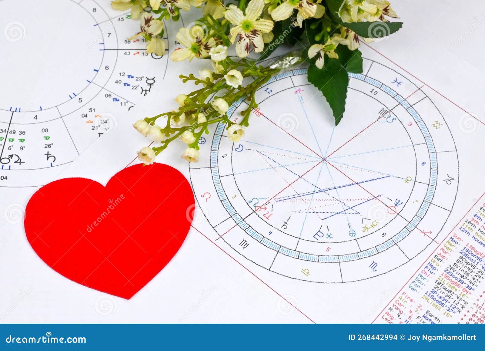 Printed Astrology Birth Chart And White Flowers Heart Love Affair